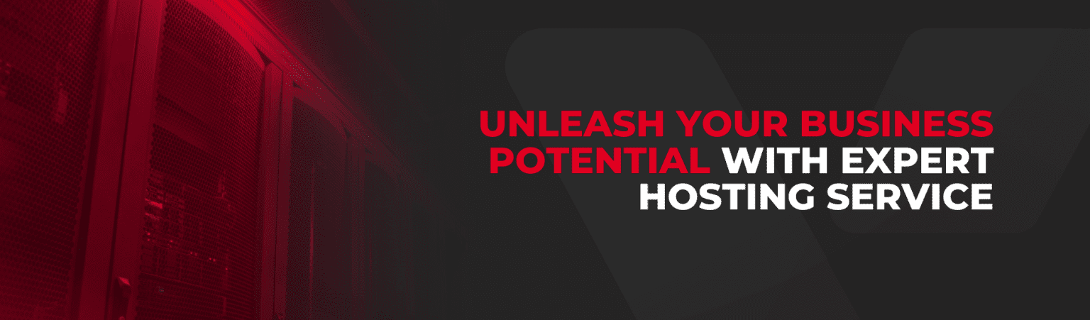 Unleash Your Business Potential With Expert Hosting Services - vnetrix.com